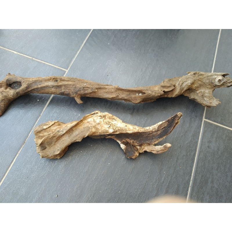 Jual paket kayu rentek driftwood aquascape paludarium vivarium aquarium ...