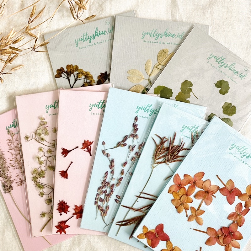 Jual Pressed flower /herbarium / hiasan scrapbook journal /bahan ...
