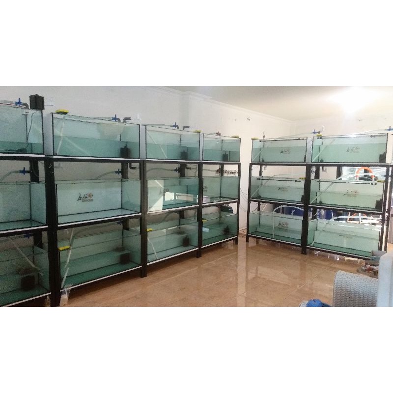 Jual PAKET AQUARIUM 100X40X40+RAK HOLO 3 SUSUN UKURAN 100X40 TINGGI ...