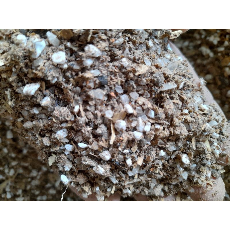 Jual media tanam adenium per 1kg | Shopee Indonesia Jual media tanam adenium per 1kg | Shopee Indonesia