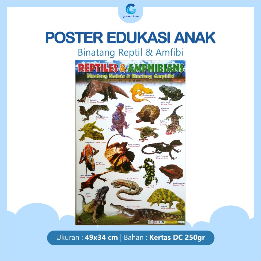 Jual Poster Pendidikan Edukasi Anak Belajar Binatang Reptil Indonesia|Shopee Indonesia