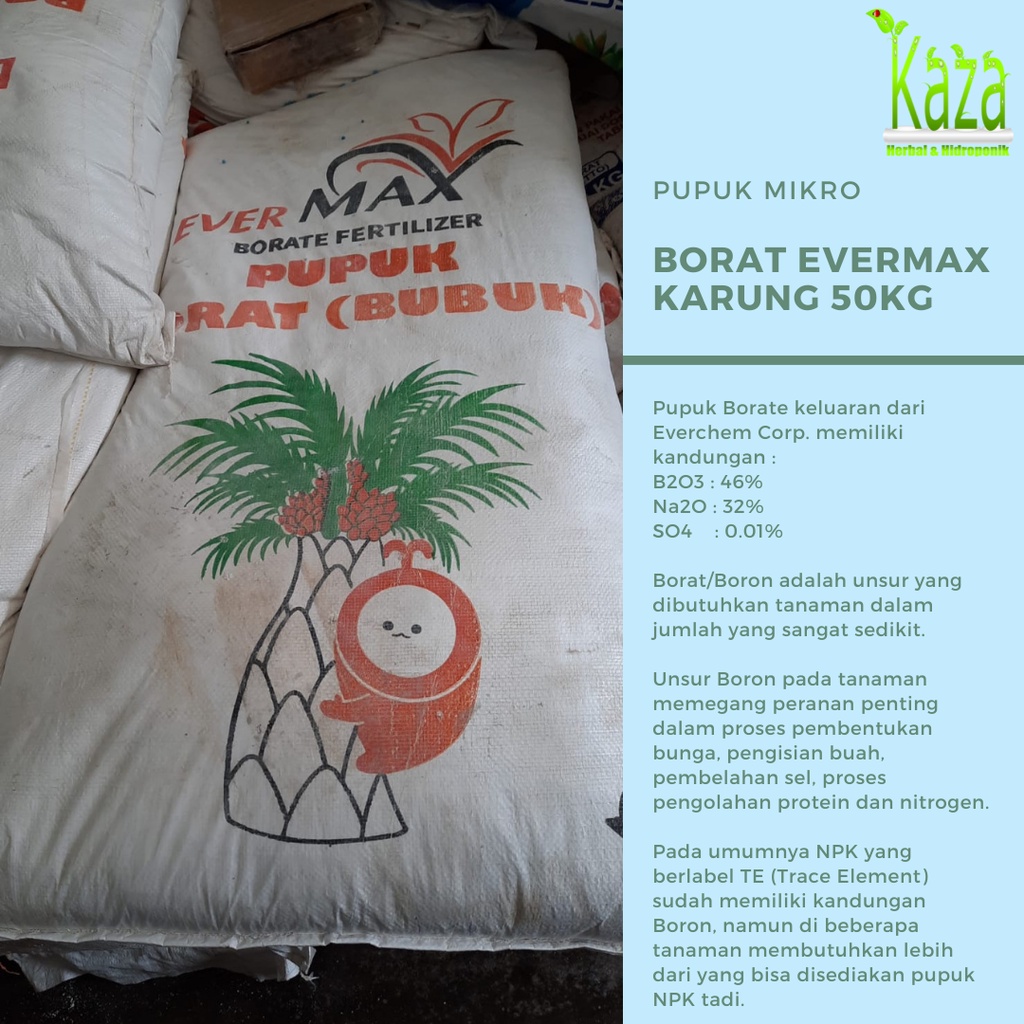 Jual Pupuk Borat Evermax Karung 50 kg Mikro Boron Borate B2O3 HGFB ...