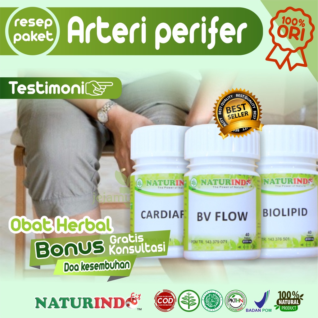 Jual Obat herbal arteri perifer vaskular PAD penyumbatan sirkulasi ...