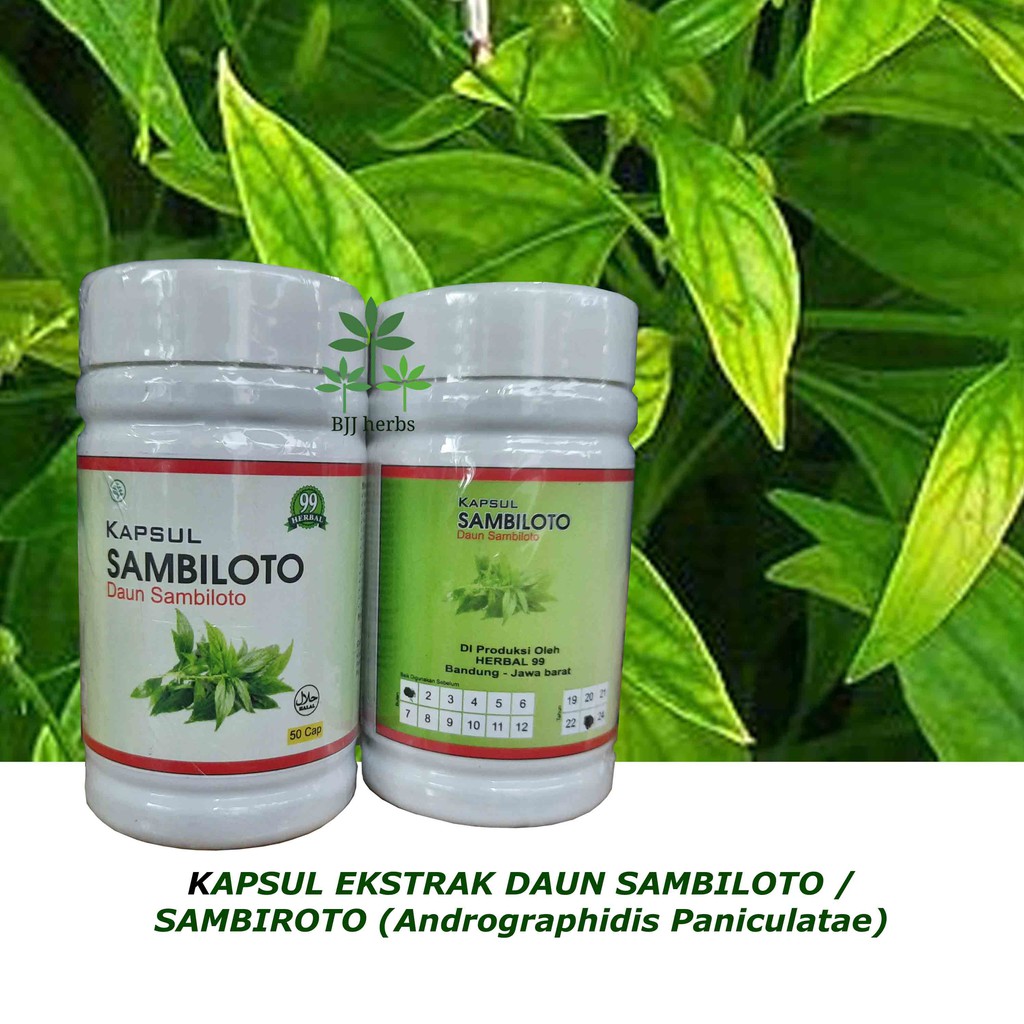 Kapsul Sambiloto / Sambiroto Herbal 99 Original | Shopee Indonesia