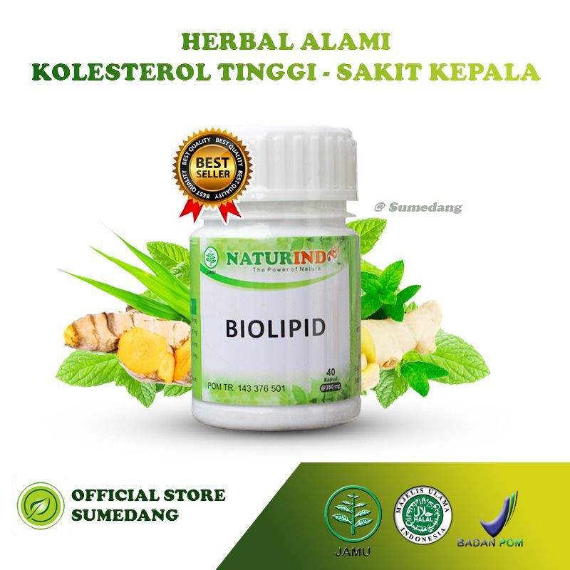 Jual BIOLIPID obat herbal kolesterol tinggi dengan gejala sakit kepala ...