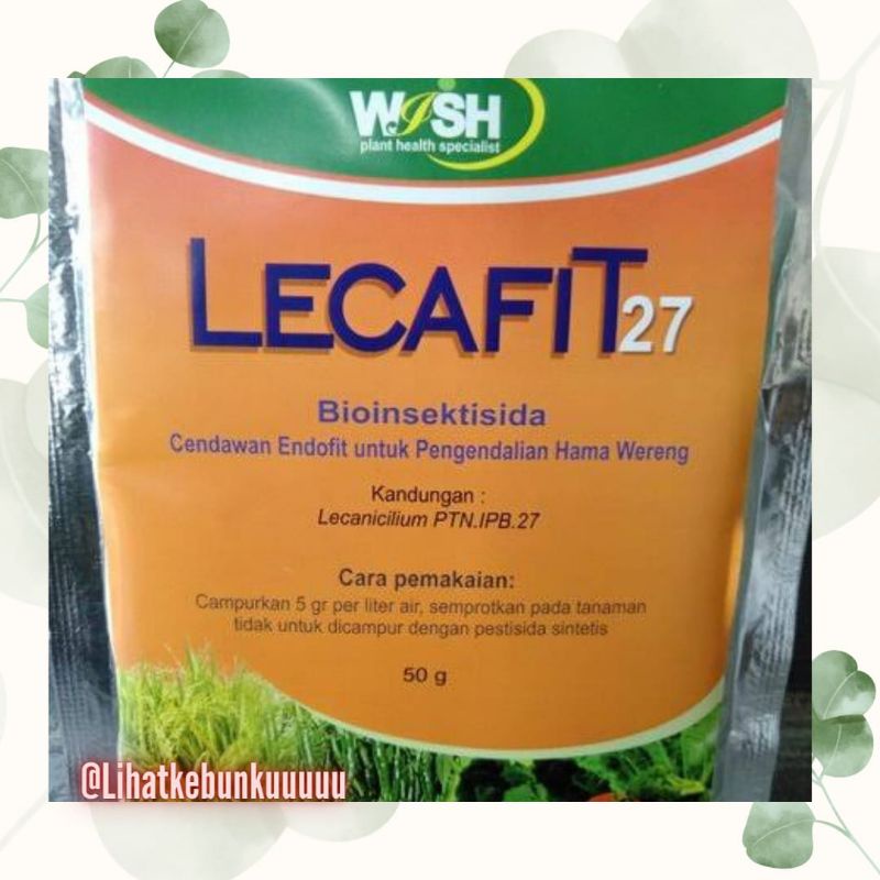 Harga Lecafit Terbaru Nov 2024 |BigGo Indonesia