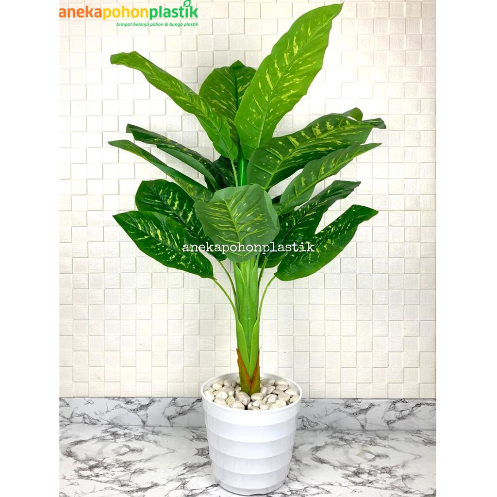 Jual Pohon Daun Sri Rejeki Hijau Latex Artificial Dekorasi Ruangan ...