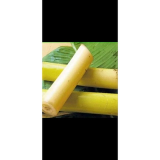 Jual PELEPAH BATANG GEDEBONG PISANG SEGAR 1KG | Shopee Indonesia
