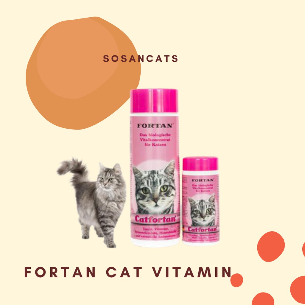 Jual [ SATUAN ] Fortan Vitamin | Shopee Indonesia