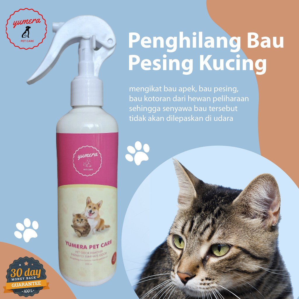 Jual Spray Penghilang Bau Pipis Kotoran Kandang Kucing - Yumera Pet ...