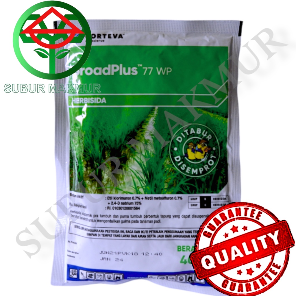 Jual BROAD PLUS 77 WP (Nama sebelumnya Ally Plus) | Shopee Indonesia