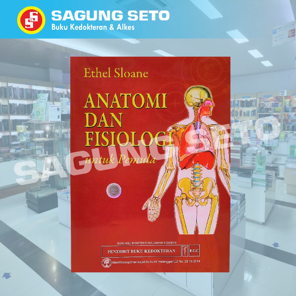 Jual BUKU ANATOMI DAN FISIOLOGI UNTUK PEMULA - ETHEL SLOANE EGC | Shopee Indonesia