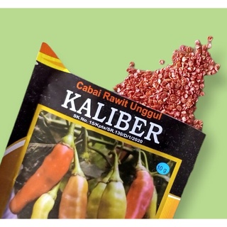 Jual Benih Cabe Rawit Setan Kaliber Original WIJITANI Kemasan Repack ...