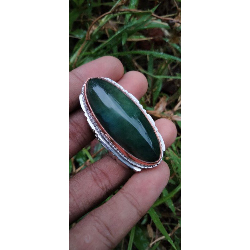 Jual PANDAN IJO LUMUT | Shopee Indonesia