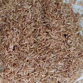 250 Gram Sekam Padi Sekam Mentah Media Tanam Kulit Padi | Shopee Indonesia