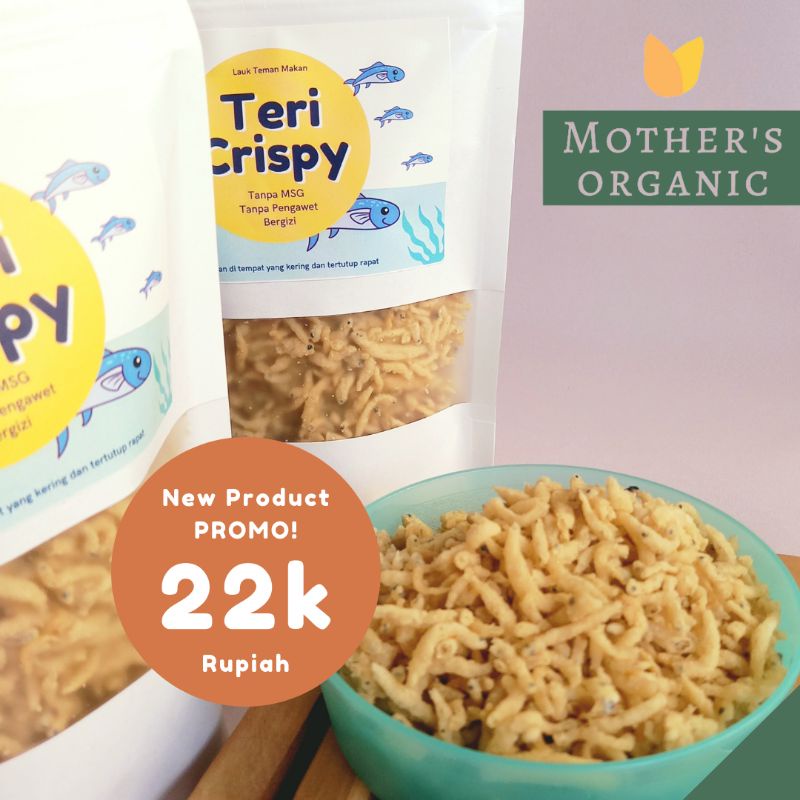 Jual Baby Fish Teri Crispy Non MSG No Pengawet 90 gr Original - Lauk ...