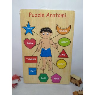 Jual PUZZLE KAYU / MAINAN EDUKASI / PUZZLE GAMBAR ANATOMI TUBUH. RIENS ...