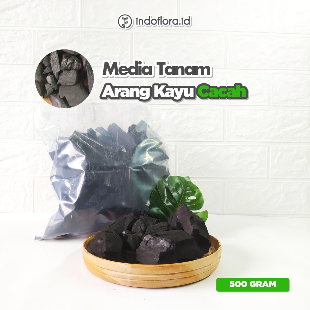 Jual MEDIA TANAM ARANG KAYU MEDIA TANAM ANGGREK 500GR | Shopee Indonesia