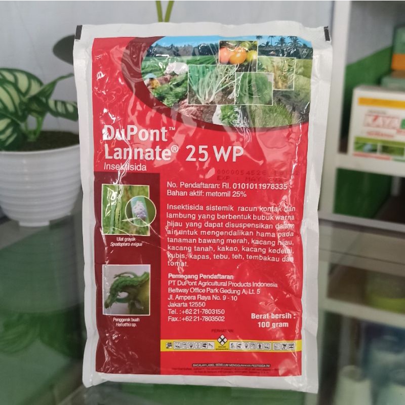 Jual Insektisida Lanate lannate 25wp obat ulat uler klaper walang 100gr ...