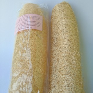 Jual Loofah Sponge Scrubber Alami / Spons Mandi Tradisional / Gambas ...