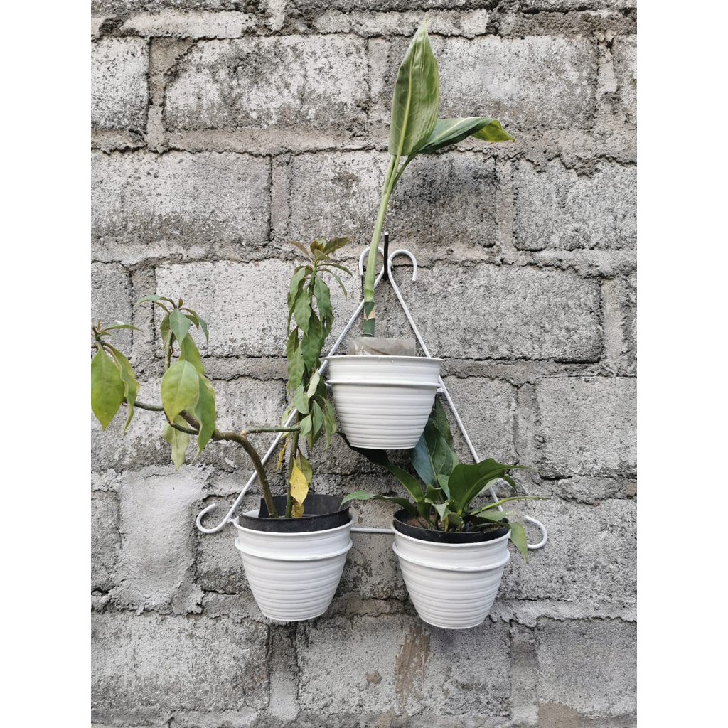 Jual Standing Pot Dinding Segitiga | Shopee Indonesia