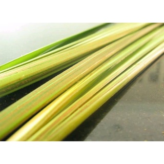 Jual JANUR KUNING SEGAR | DAUN JANUR KUNING (1kg ) | Shopee Indonesia