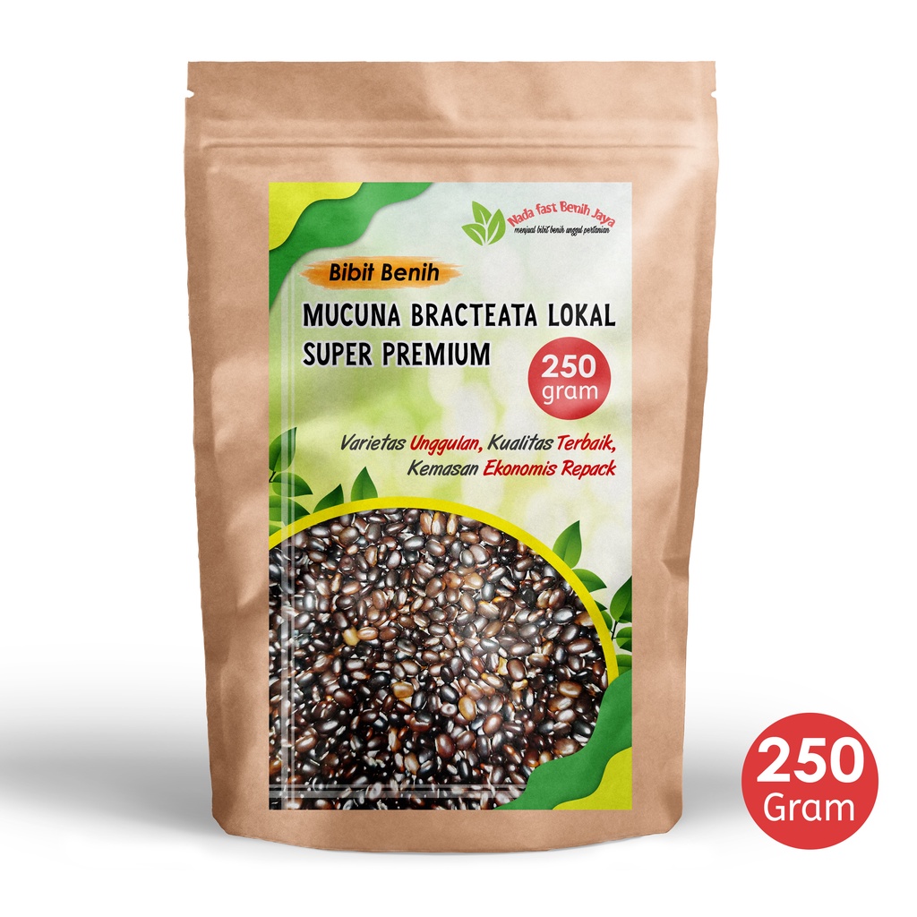 Jual Benih Cover Crops 250 Gram benih Mucuna bracteata super premium ...