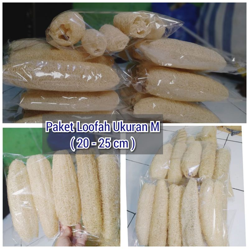 Jual Paket loofah 5 pcs ( spons alami serat gambas 20-25 cm) | Shopee ...