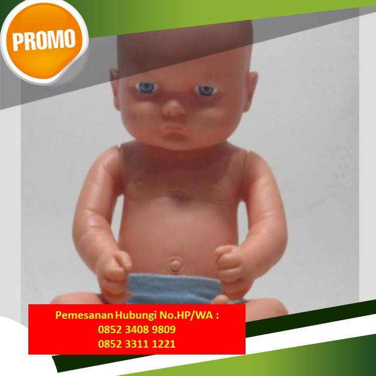 Jual READY STOK!! Distributor Boneka Phantom Alat Peraga Kesehatan ...