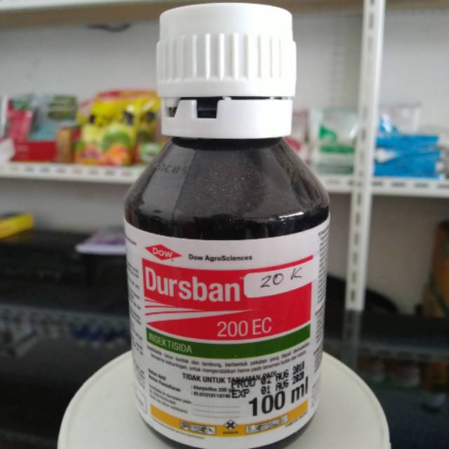 Jual Dursban 200 ec insektisida ampuh | Shopee Indonesia