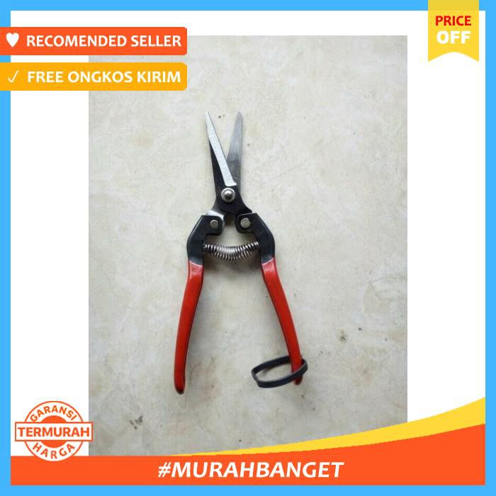 Jual Alat Potong Gunting Tanaman Ranting Daun Montana Purning Shears ...