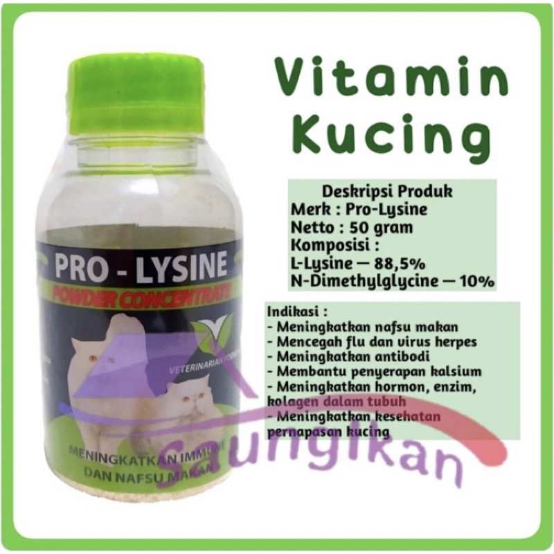Jual PROLYSINE Vitamin Kucing untuk meningkatkan imun dan nafsu makan ...