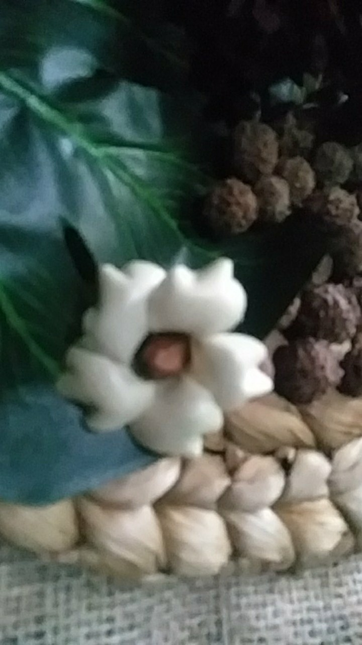 Bunga Daun Lontar | Shopee Indonesia