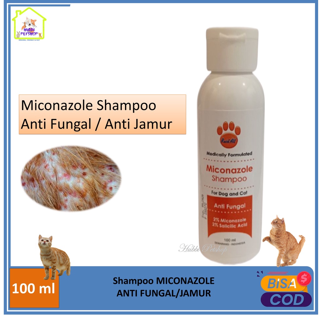 Jual Shampoo MICONAZOLE Kucing Anjing - Shampo Anti jamur Miconazole ...