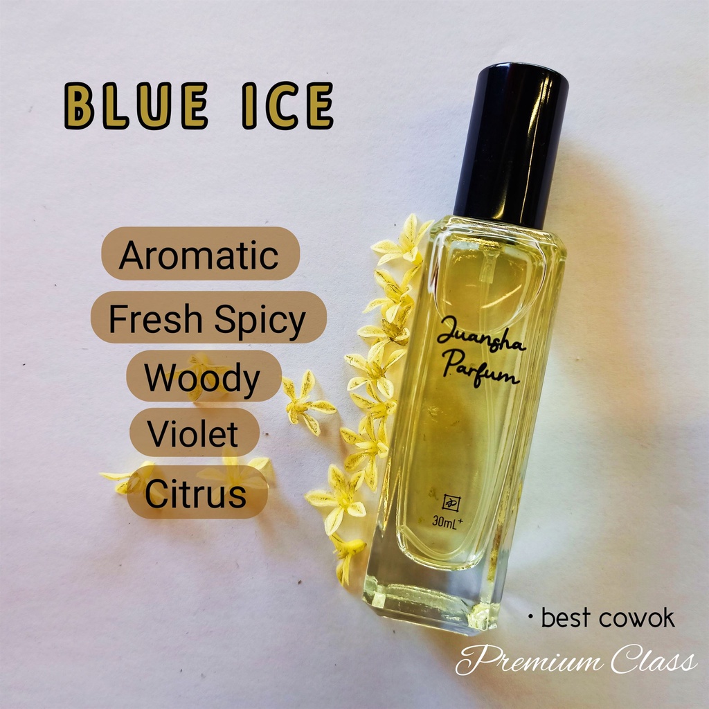 Jual Parfum BLUE ICE SALVATORE Inspired By SALVATORE PREMIUM CLASS ...
