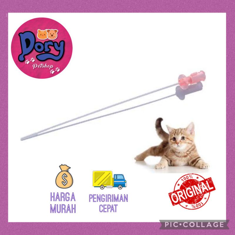 Jual Kateter Kucing Non Stilet | Shopee Indonesia
