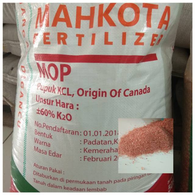 Jual Pupuk MOP KCL MAHKOTA, origin of CANADA -Repack 250gr - untuk ...