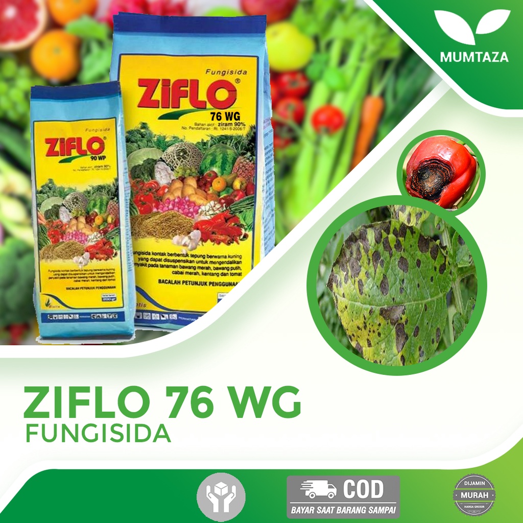 Harga Ziram Terbaru September 2022 |BigGo Indonesia