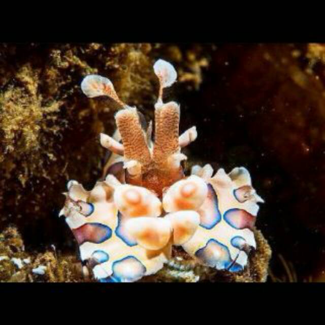 Produk sims_auto | Shopee Indonesia