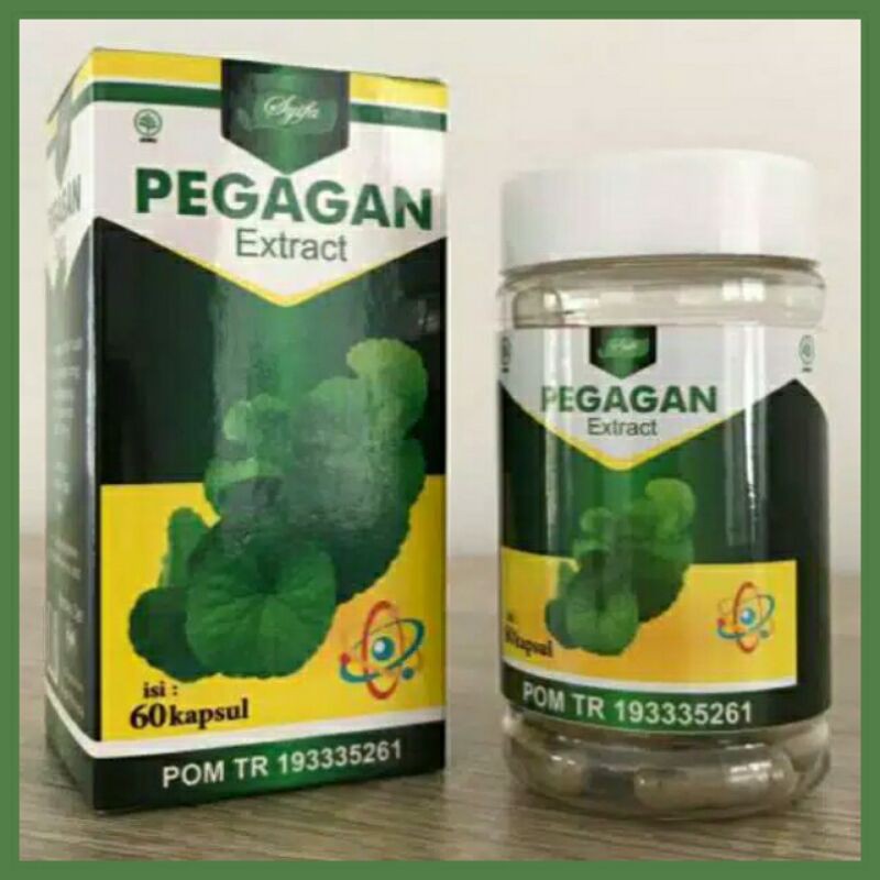 Harga kapsul ekstrak daun pegagan Terbaru Feb 2025 | BigGo Indonesia
