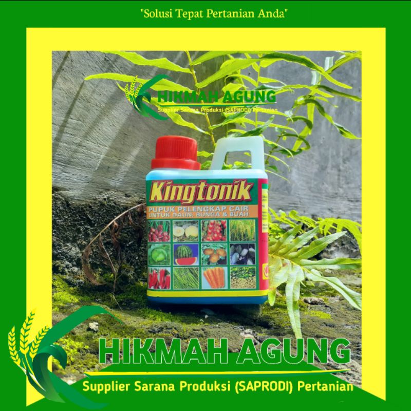 Jual Pupuk Cair King Tonik/Pupuk Penyubur Tanaman Akar Daun Buah Bunga | Shopee Indonesia
