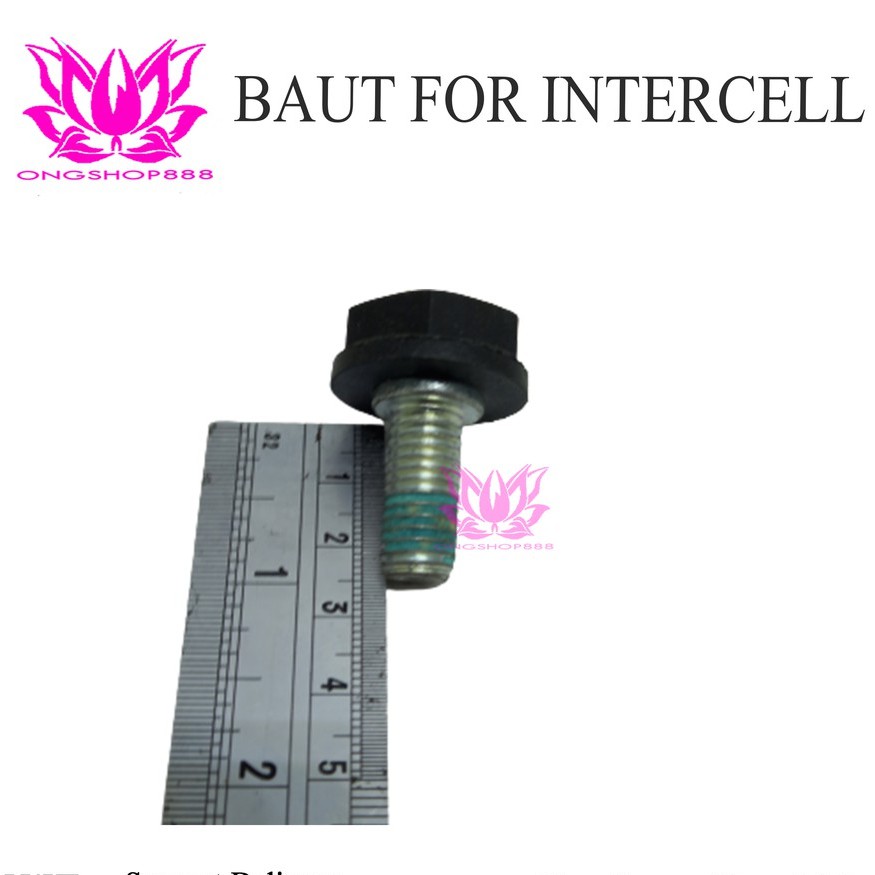 Jual Baut Intercell Battery / Reach Truck / Counter Balance for ...