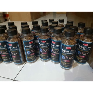 Jual Magot kering maggot yes kemasan dalam botol 250ml | Shopee Indonesia