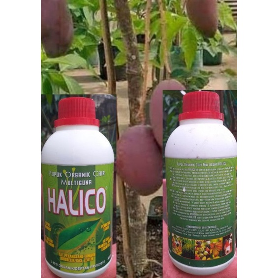 Jual pupuk organik cair halico | Shopee Indonesia
