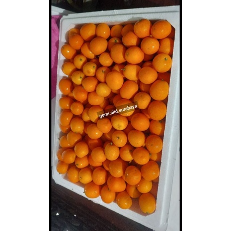 Harga Jeruk Kimkit Buah 1KG Terbaru Agt 2025 | BigGo Indonesia
