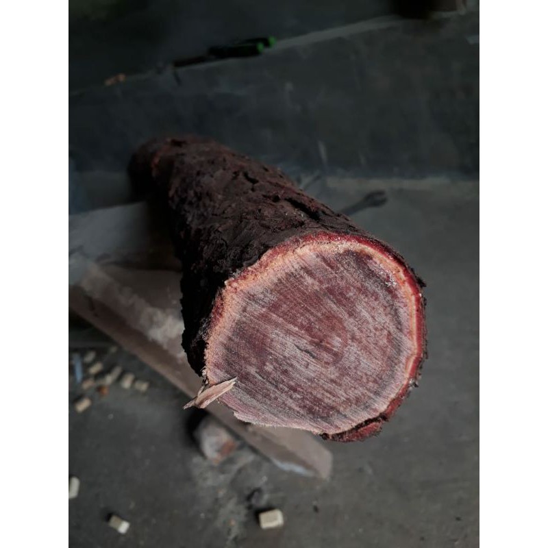 Jual bahan kayu stigi asal kayu Karimunjawa | Shopee Indonesia