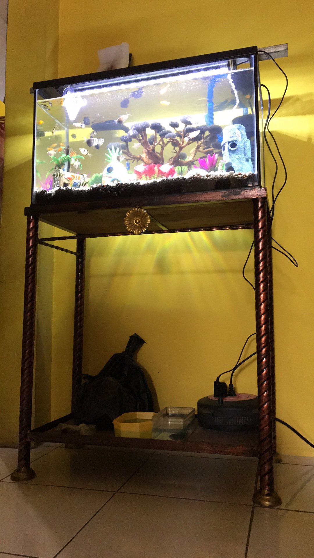 Rak Aquarium | Shopee Indonesia