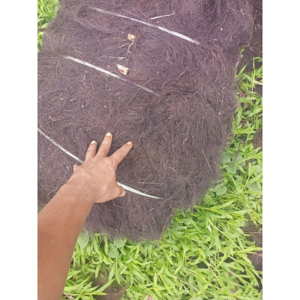 Jual ijuk resapan 1 kg | Shopee Indonesia