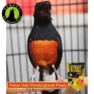 Jual VOER MURAI BATU SUPER POWER PLATINUM PAKAN BURUNG HARIAN LOMBA ...