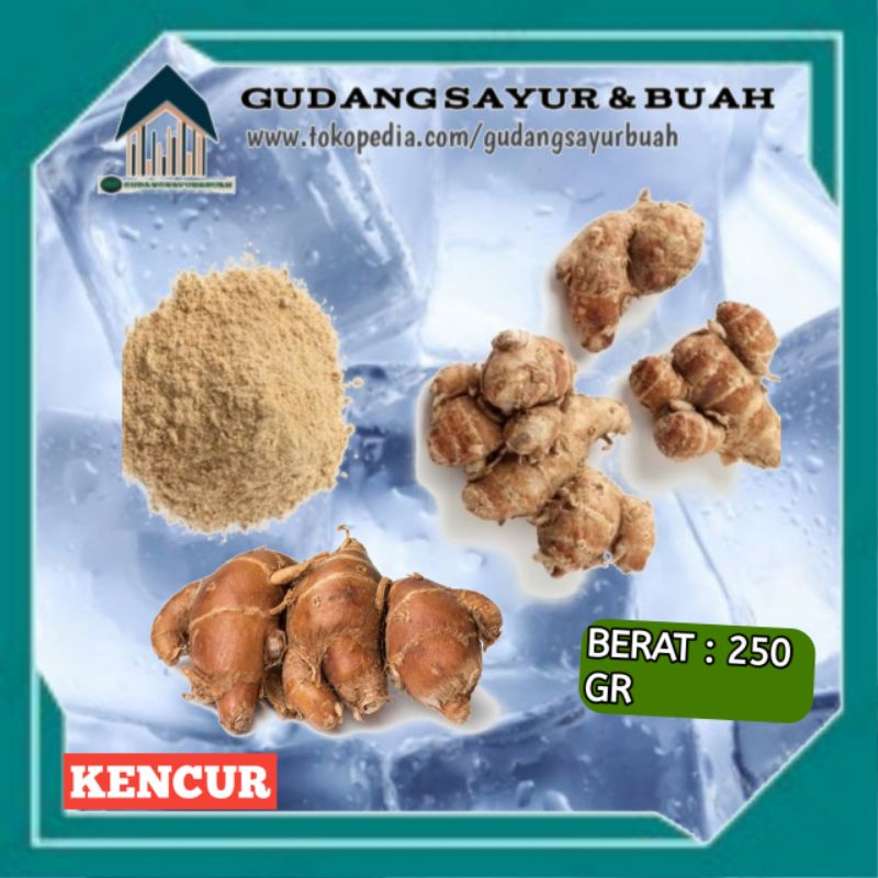 Jual Kencur 250 Gram | Shopee Indonesia